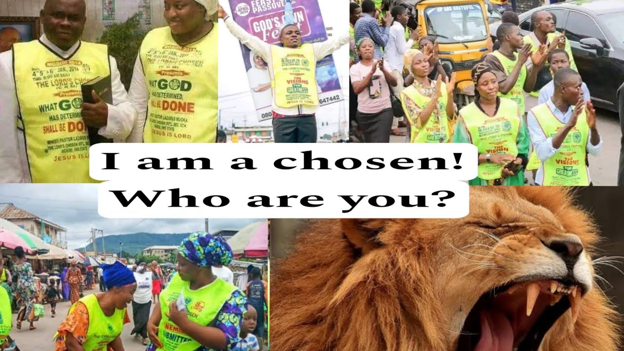 Lion say Bye bye🙄 Chosen Testimony went viral & Everyone is now a ...