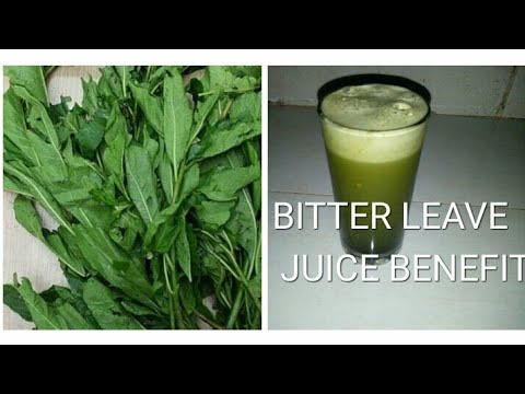 BITTER LEAF INSIGHTS