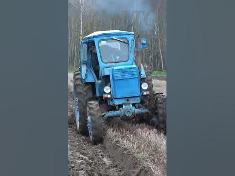 Синий трактор - YouTube