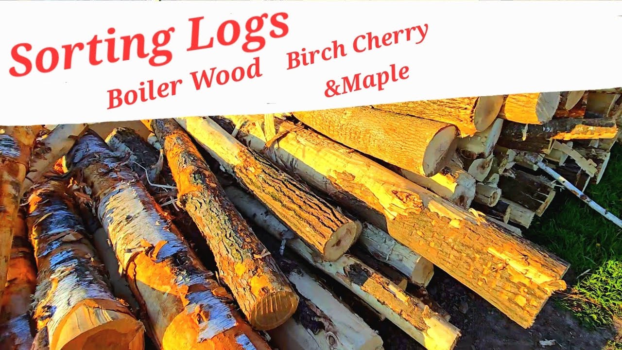 Sorting Load Of Logs - YouTube