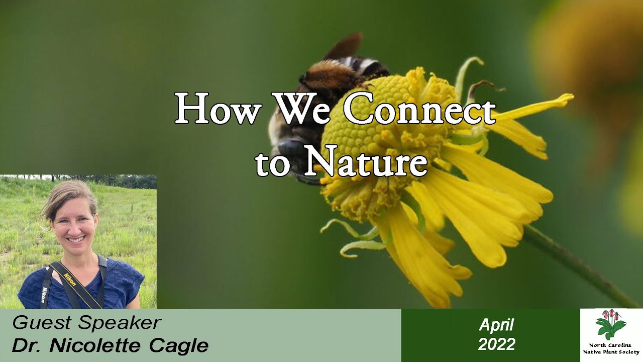 How We Connect to Nature with Dr. Nicolette Cagle - YouTube