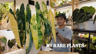 10 Rare Plants: Would I Recommend Them?