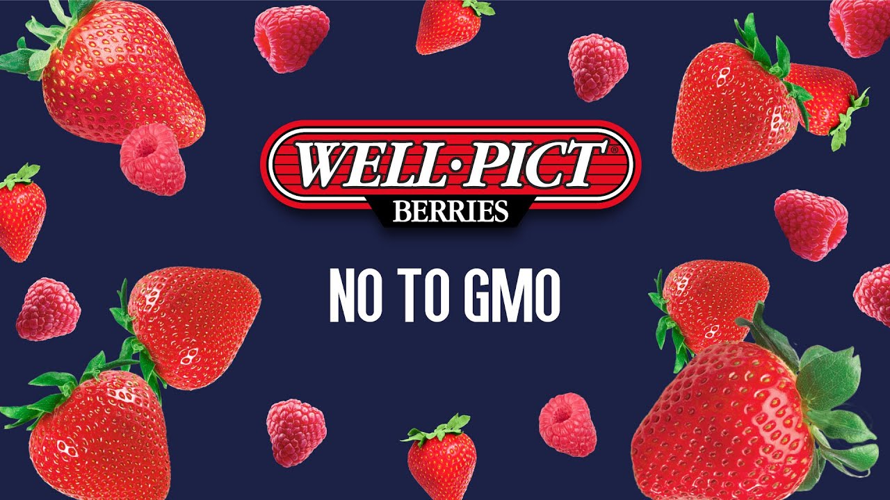 Well•Pict Berry Academy Part 3: No to GMO - YouTube
