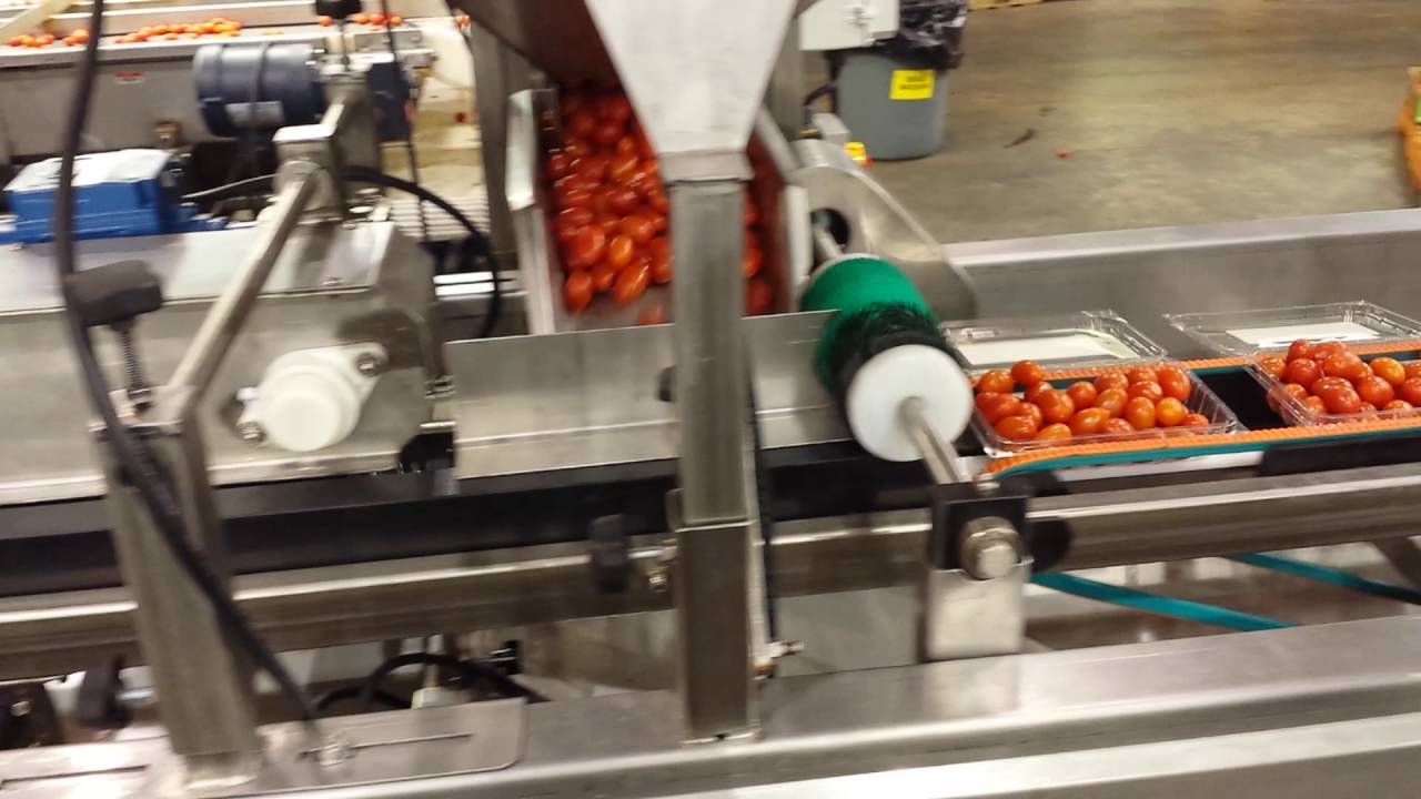 Tomato Filler 11 oz Tray - YouTube