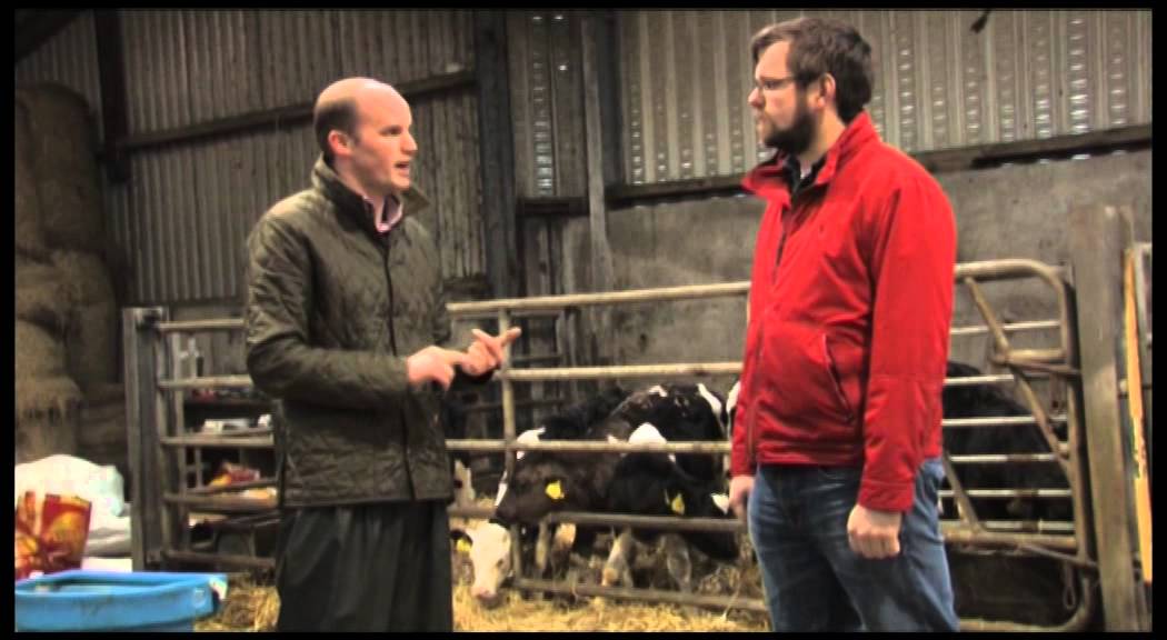 That's Farming - Dry Stock Farming - Gerard Burke - YouTube
