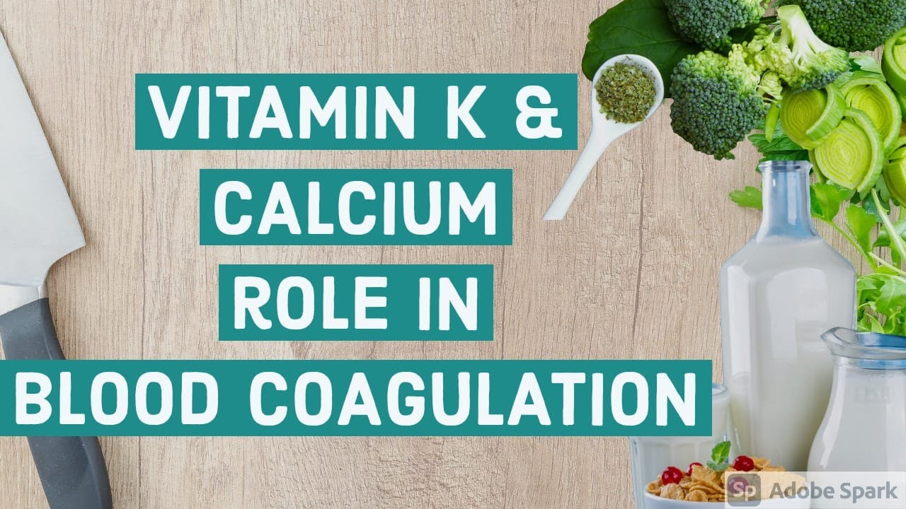 Vitamin k & Calcium in Coagulation | Blood Physiology | 1st MBBS - YouTube