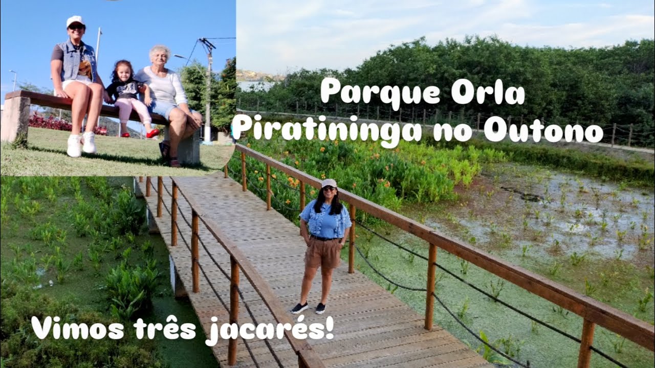 Passeamos com a Sofia - Vimos 3 jacarés na lagoa - YouTube