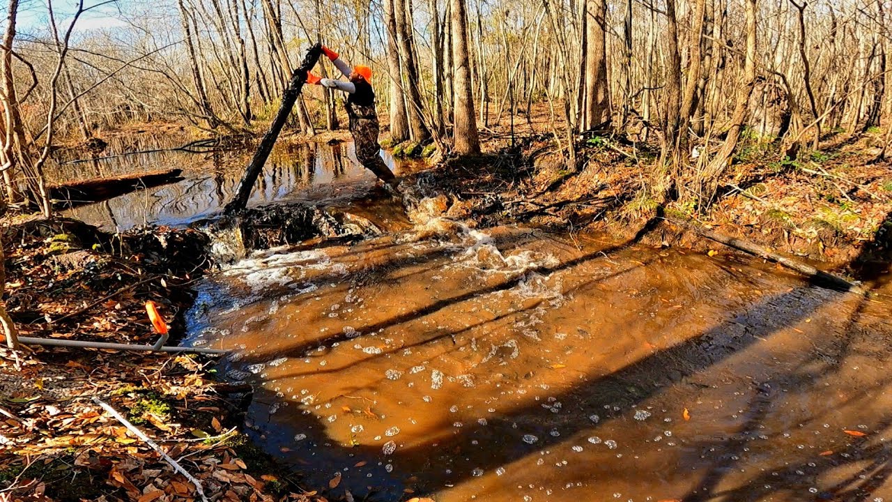 BEAVER DAM REMOVAL IN WOOD CREEK! || Alot Of Back Breaking Work! 😮‍💨 S2 ...