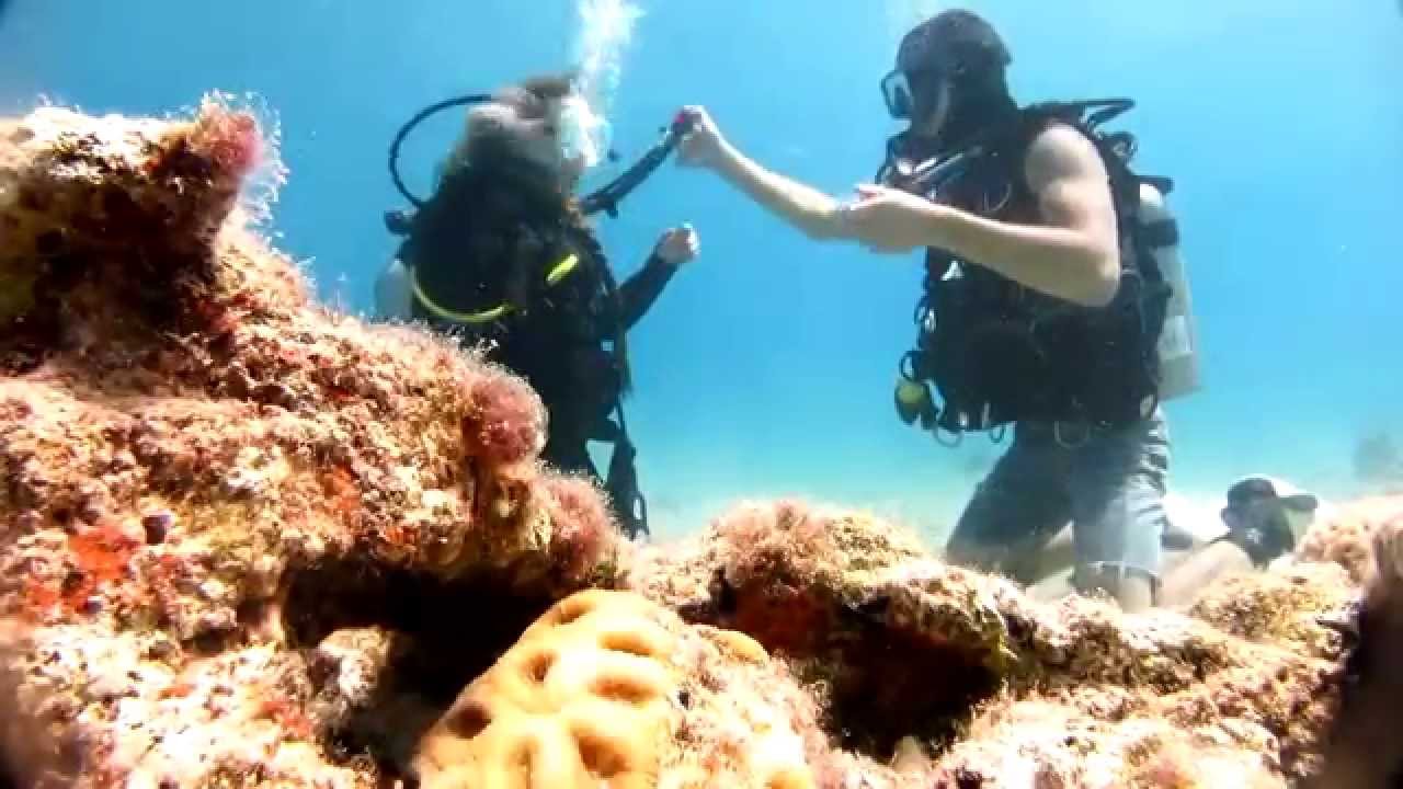 Custo Club - YouTube