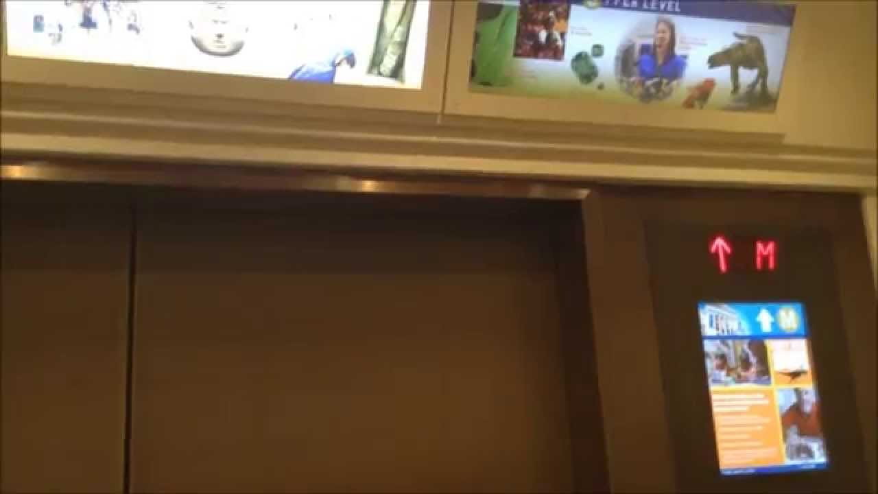 Modernized elevator at the Field Museum in Chicago, IL - YouTube