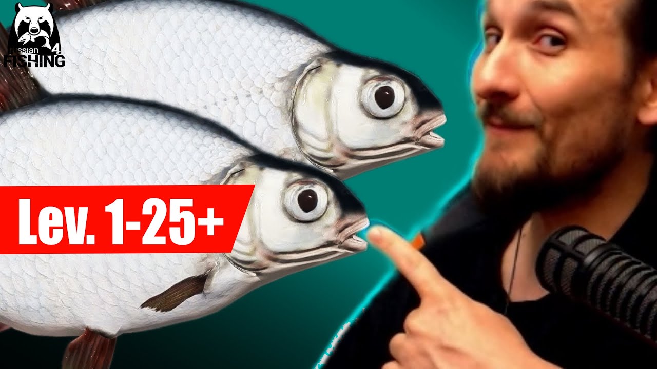 Russian Fishing 4 - Windenbach - Silber und XP: Zobel, Zope, Nase - YouTube