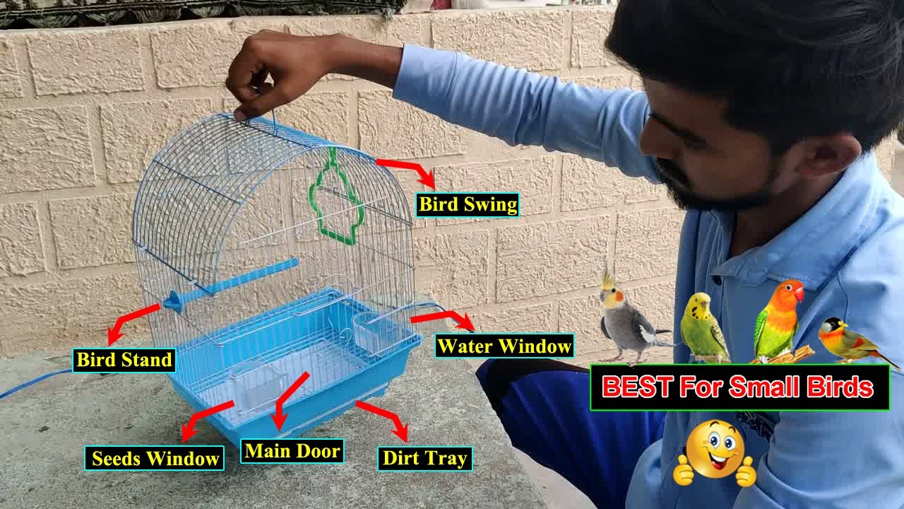 Bird Carrier Cage | Bird Travel/Transport Cage For Lovebirds,Budgies ...