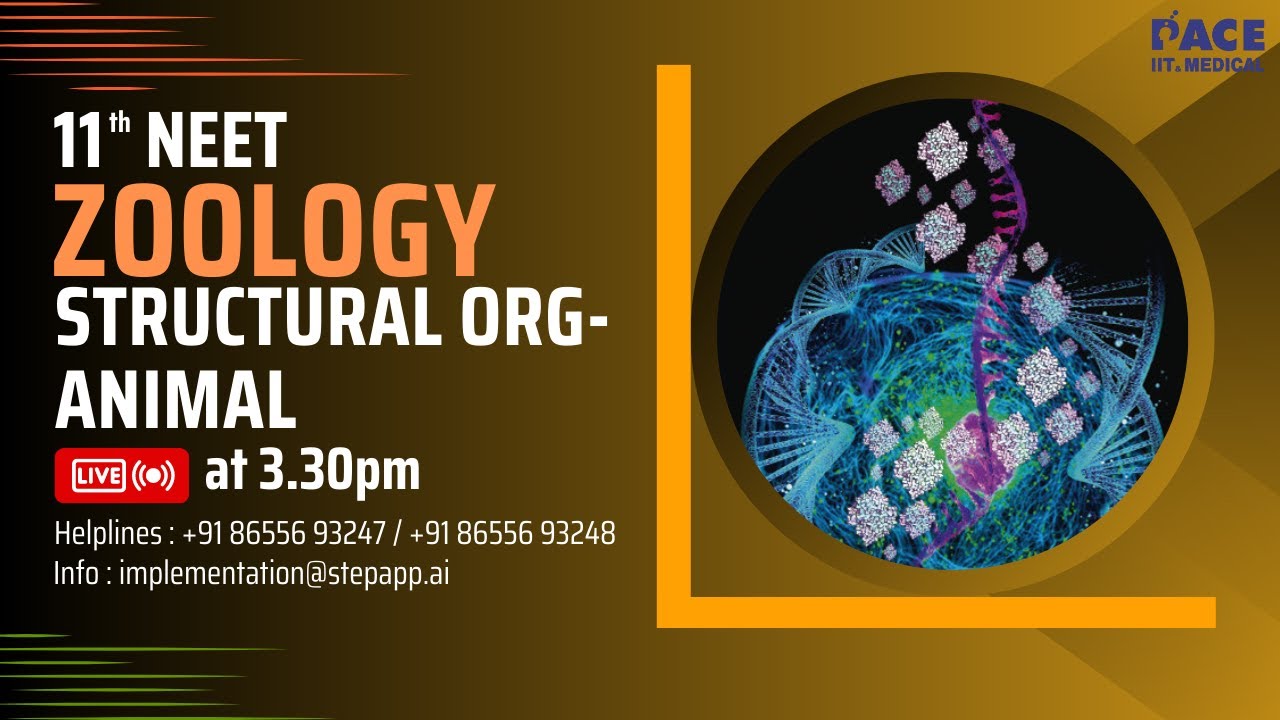 STRUCTURAL ORG-ANIMAL | Class 11 | NEET - YouTube