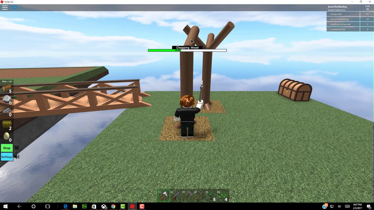 Shawn and Braden - Roblox Party - YouTube