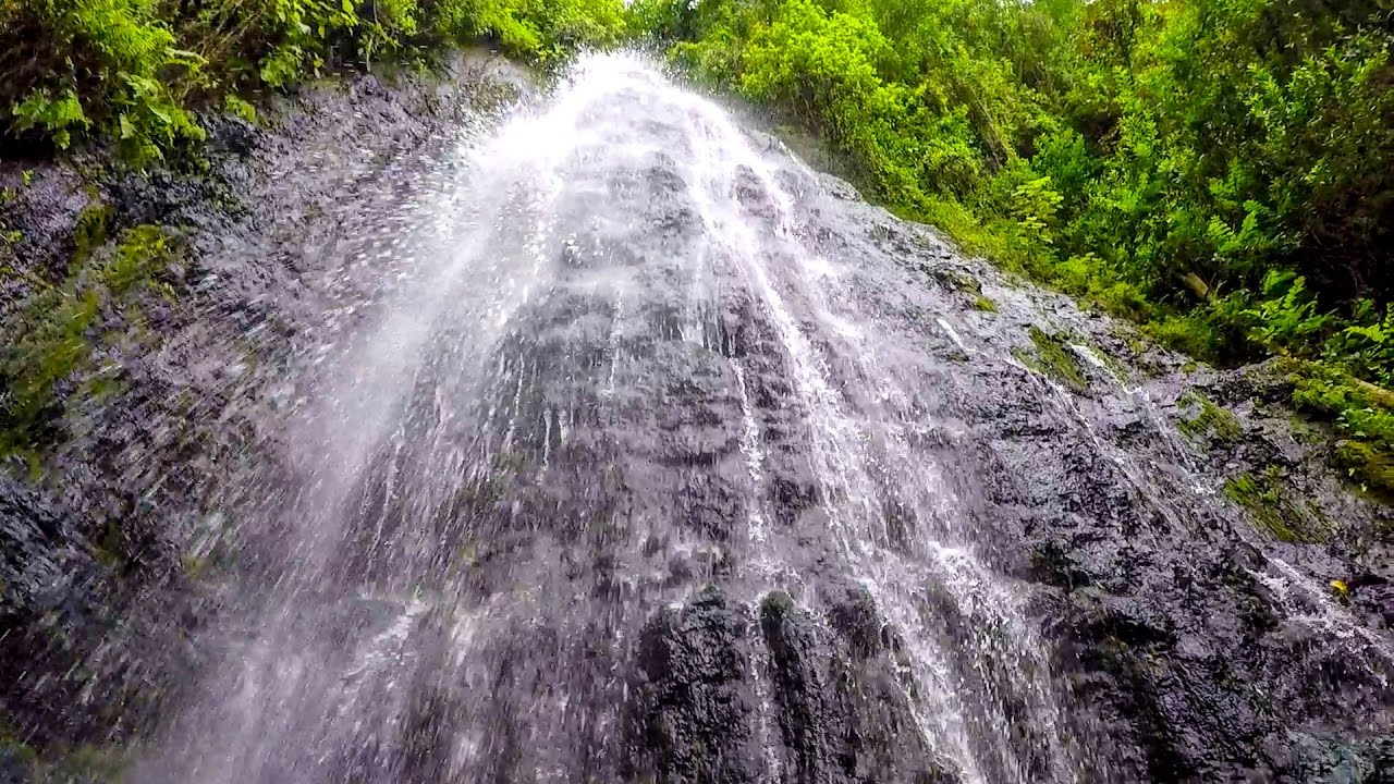 Hamama Falls Hike / Kaneohe, Oahu - YouTube
