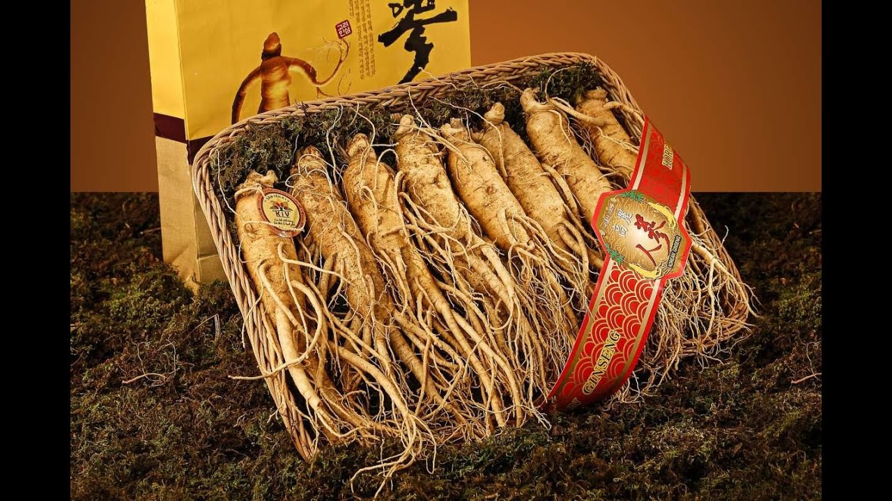 27 Haziran 2024 World's Most Expensive Root - Korean Ginseng Harvesting ...
