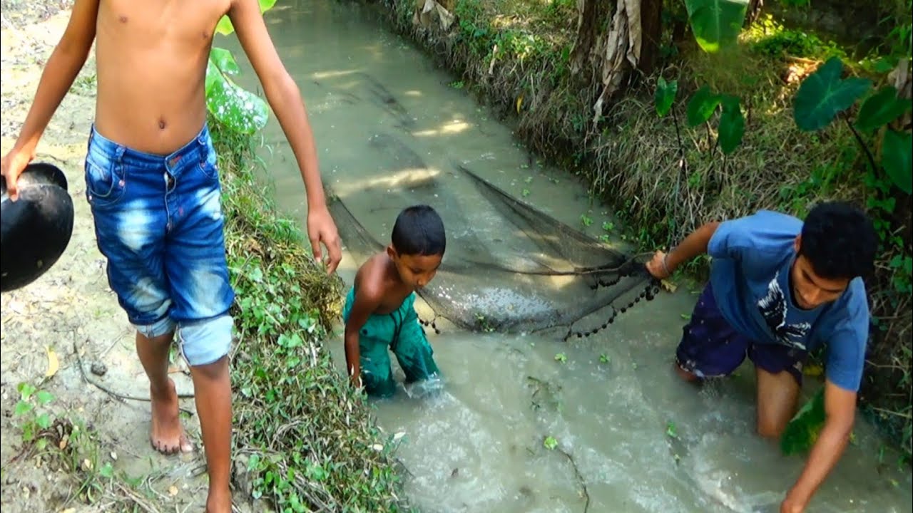 Fishing In Village Canal || Traditional Fish Catching In Village Boys ...