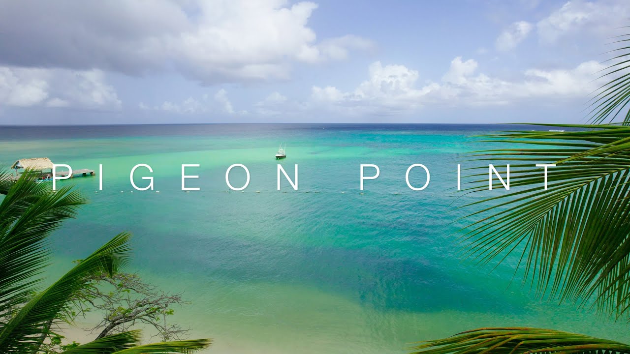 Pigeon Point Perfection (TOBAGO 🇹🇹) - YouTube