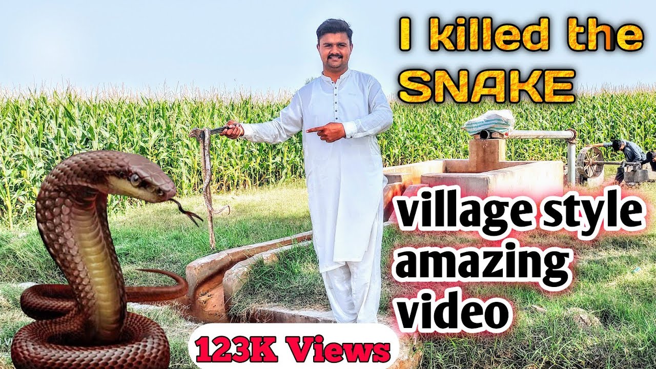 Snake killed Village style amazing snake video Dasi life Pakistan The ...