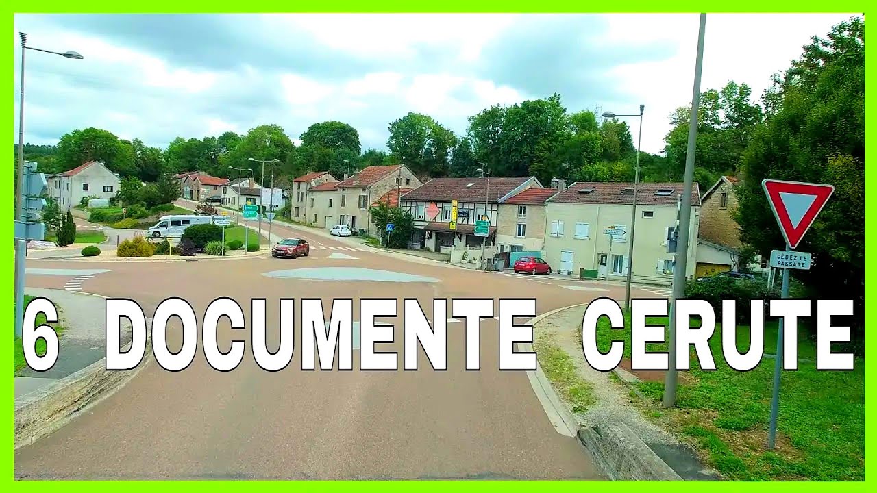 CE DOCUMENTE TI SE CER CAND ESTI OPRIT DE POLITIE - ILIE COZANU - YouTube
