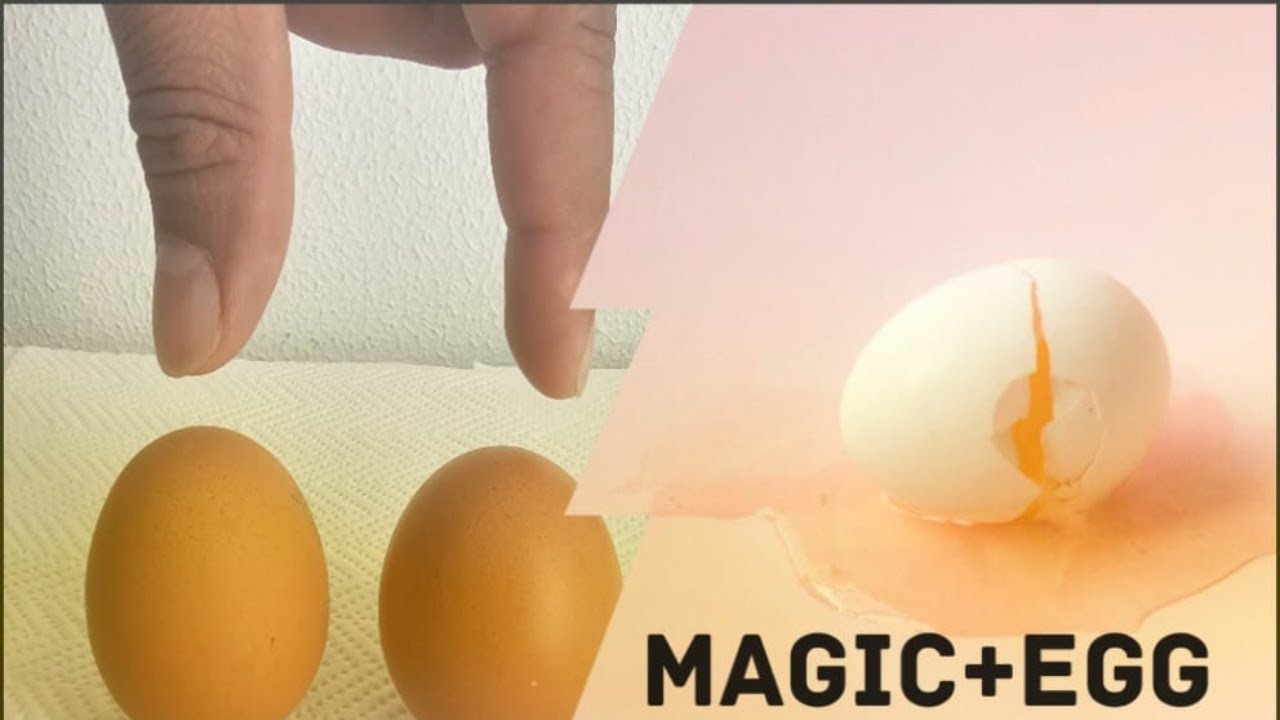 Magic +Egg |Egg experiment | science experiment - YouTube