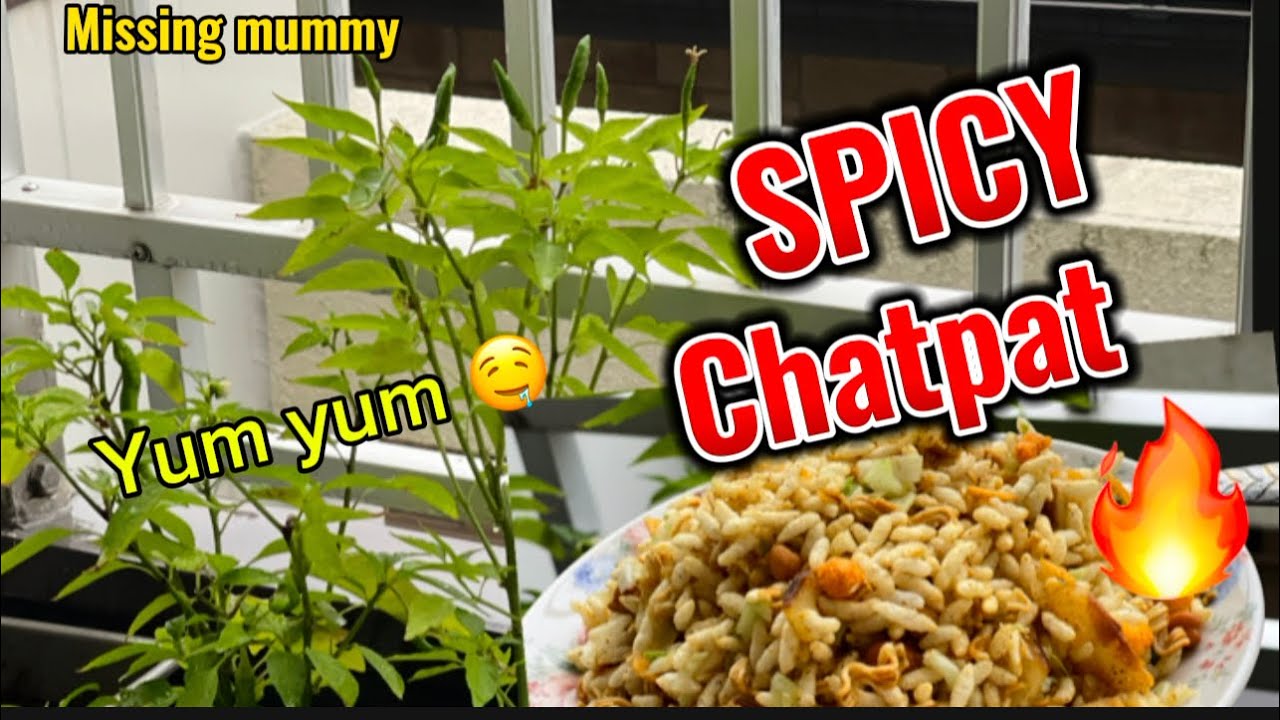 Khursani ko bot dakhra Mume ko yad aayo 🥺 ️ ️missing my mummy so much ...