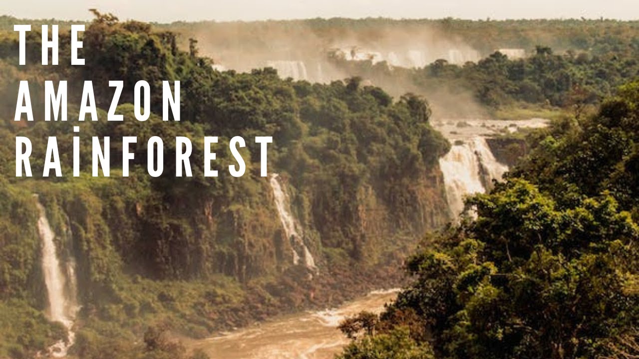 The Enchanting Amazon: Exploring the Biodiversity and Importance of the ...