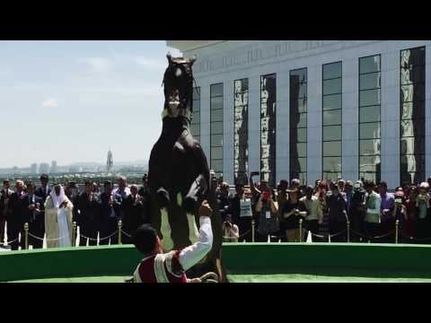 WingWalkerFarm in Turkmenistan