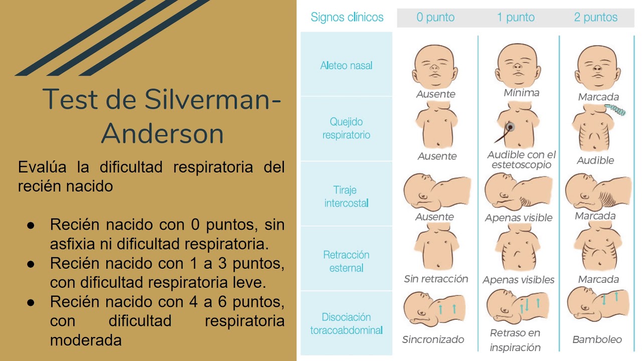 APGAR, Test de Silverman Anderson, CAPURRO - YouTube