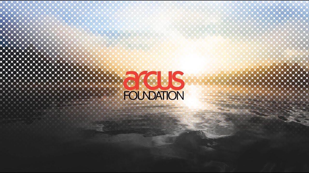 Arcus 2015 Annual Report: Individuals, Communities, and Movements Lead ...