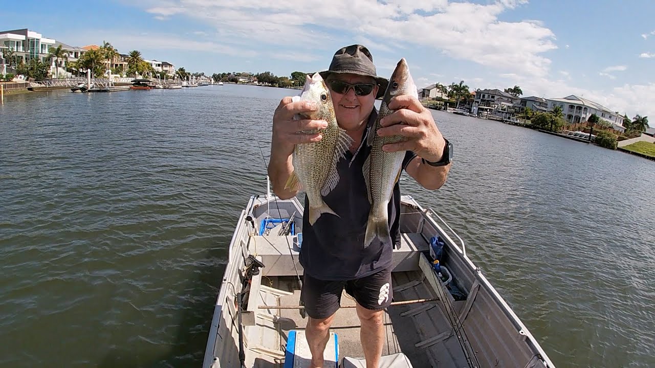 FISHING THE NERANG RIVER 11TH NOVEMBER 2022 - YouTube
