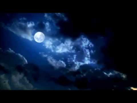 The Moonlight - Ay Işığı
