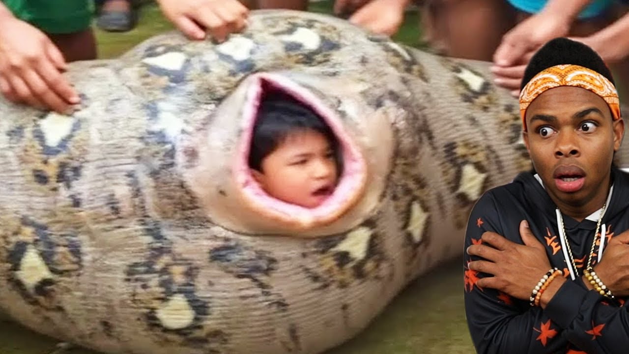 he got trapped inside a snake then.. - YouTube