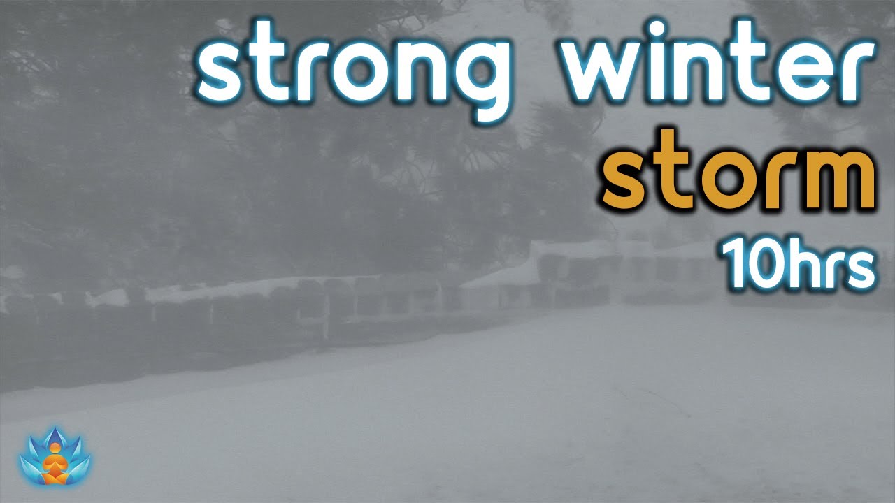 Strong Snowstorm | Winter Storm | Blizzard Sounds for Sleeping / Relax ...