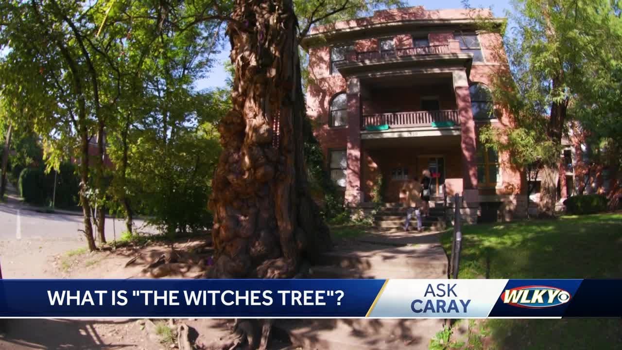 Ask Caray: What is the Witches Tree and how did it get its name? - YouTube