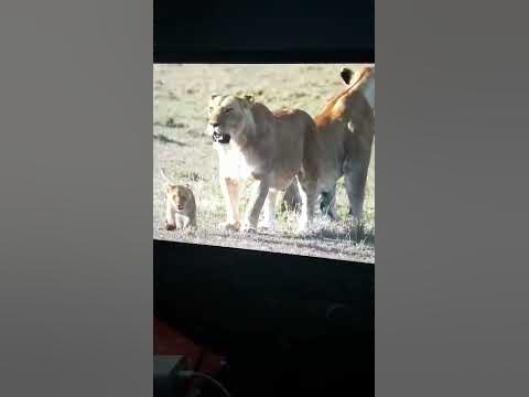 Леве в деле - YouTube