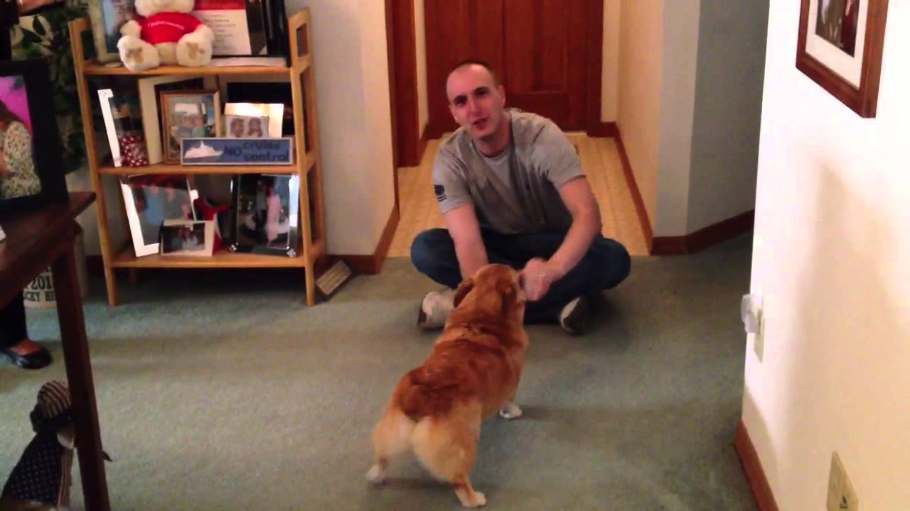 Ein reunites with dad! - YouTube