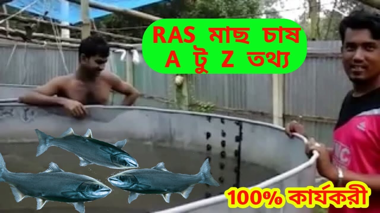 ট্যাংকে মাছ চাষের A টু Z তথ্য এই ভিডিওতে।RAS পদ্ধতিতে শিং, মাগুর, কই ...