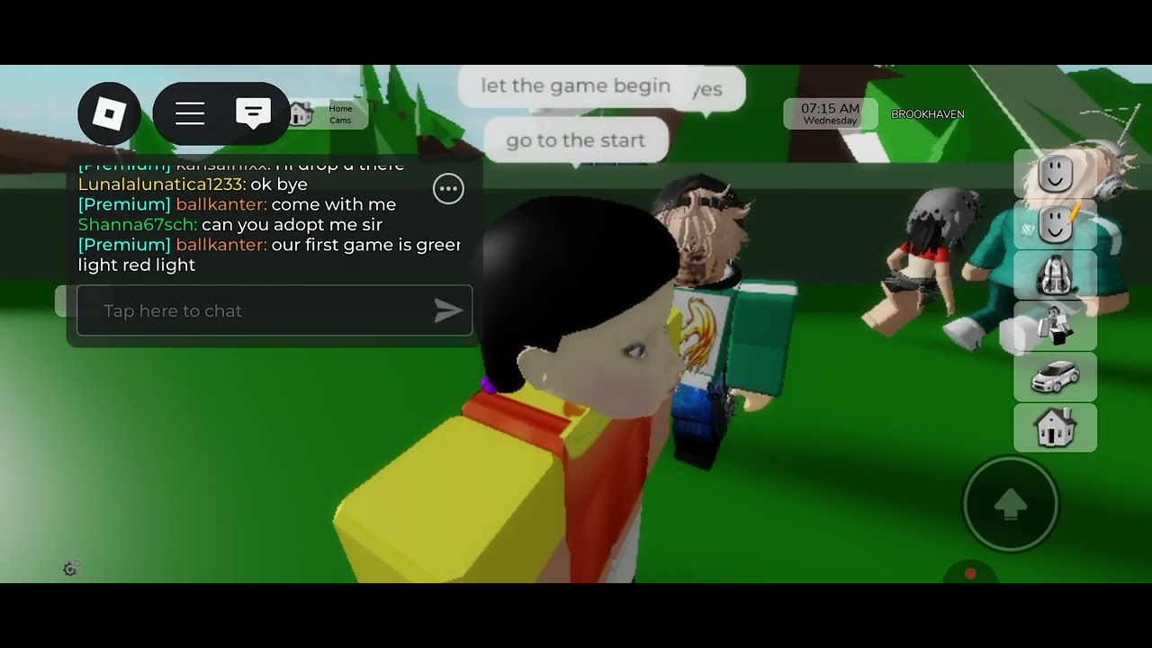 brookheaven rp Roblox squid game rp - YouTube