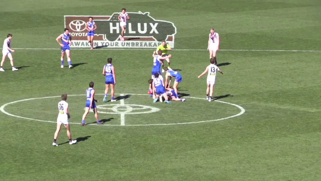 Tyler Sonsie Highlights 2019 - YouTube