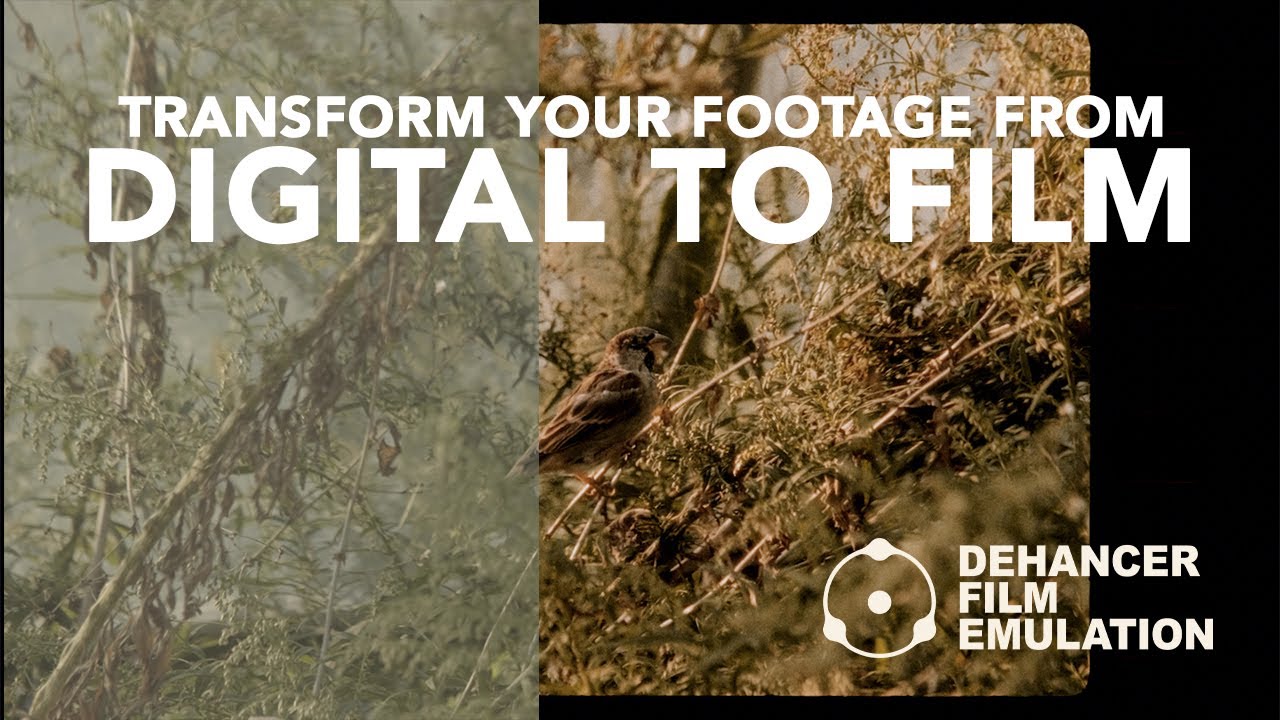 How to make your digital footage look like film with Dehancer - YouTube