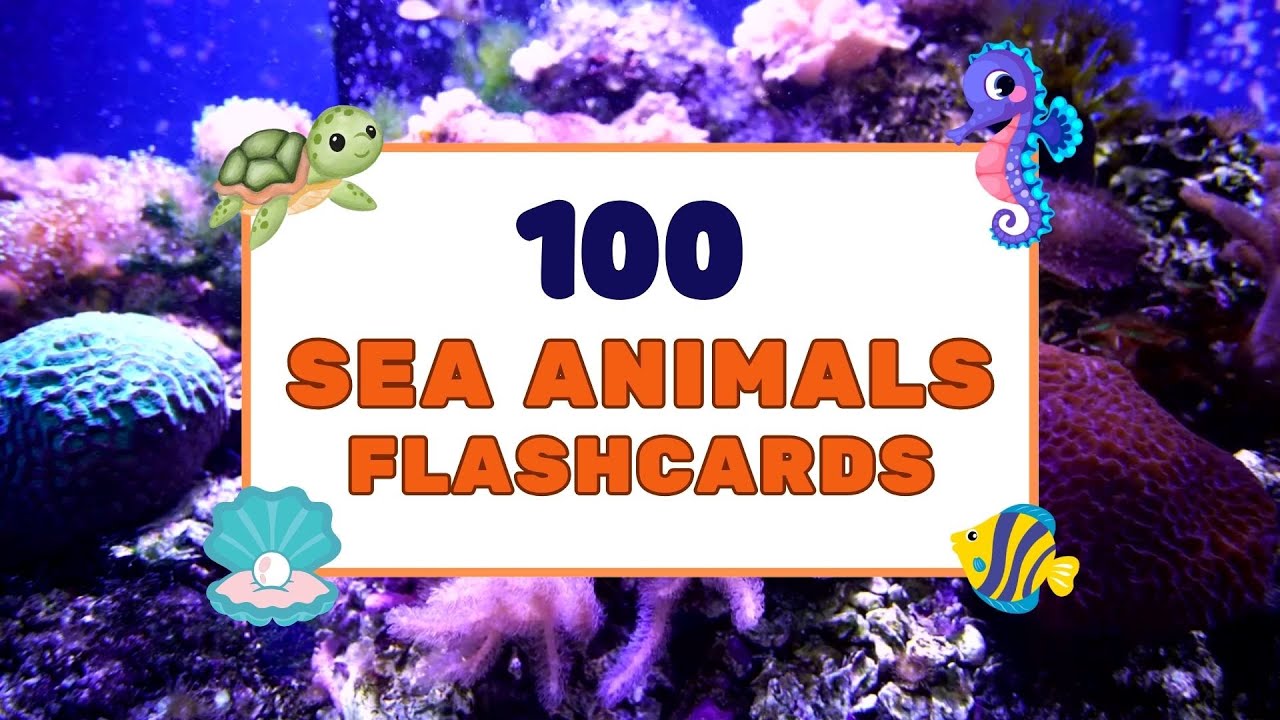 Sea Animals Flashcards for Kids - Fun and Educational Learning! - YouTube