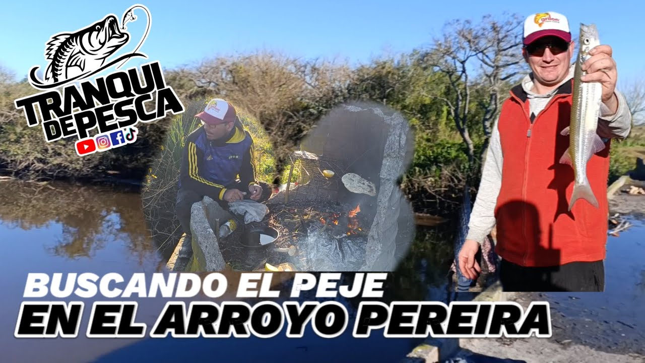 Buscando El Peje En El Arroyo Pereyra 🎣 Tranqui de Pesca 🎣 - YouTube