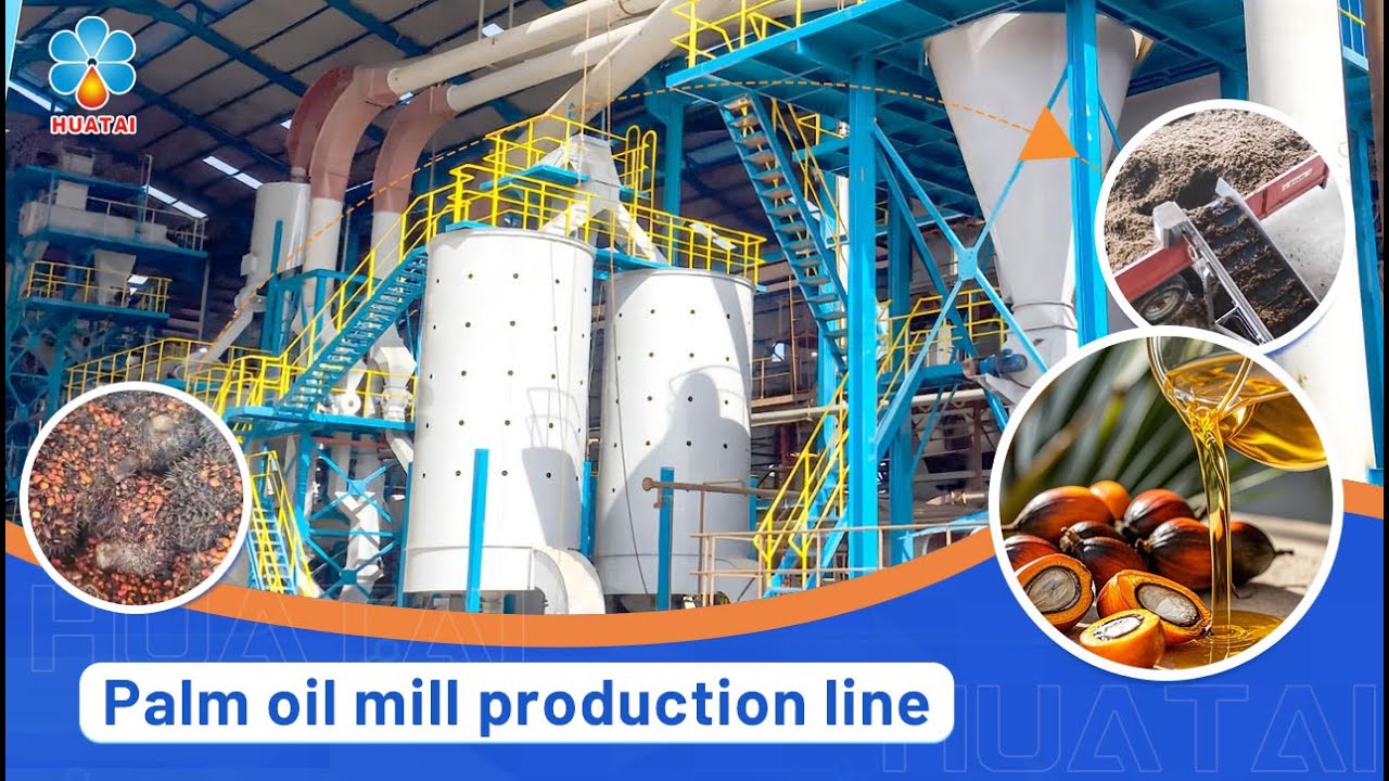 🌴🚀Huatai's Palm Oil Mill in Action | Transforming Fresh Fruit Bunches ...