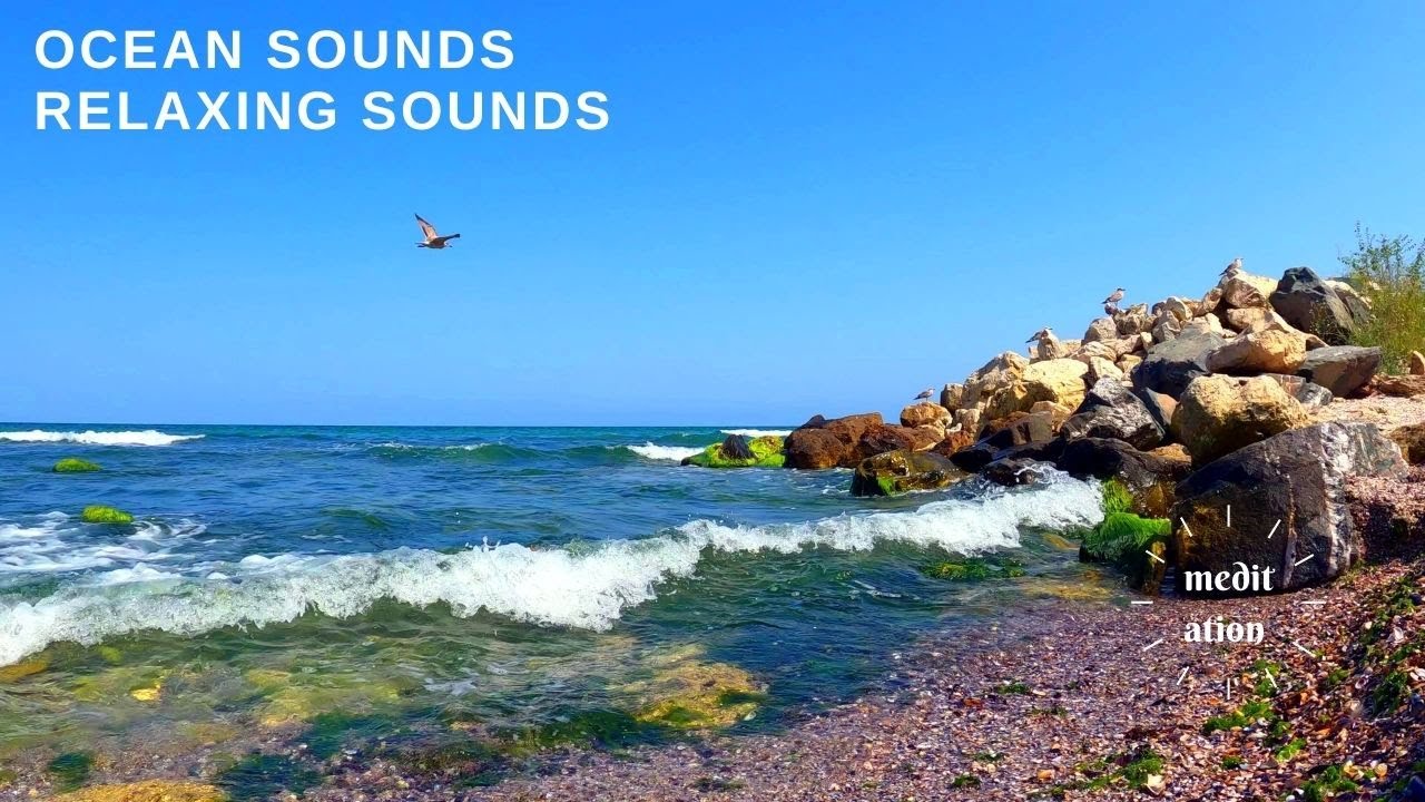Relaxing with Beautiful ocean and ocean sounds, bird ocean sounds ...
