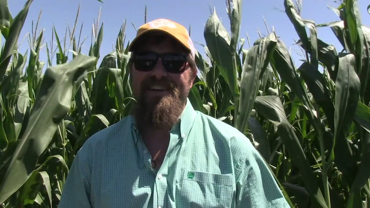 Chris Leach from Leach Farms - YouTube