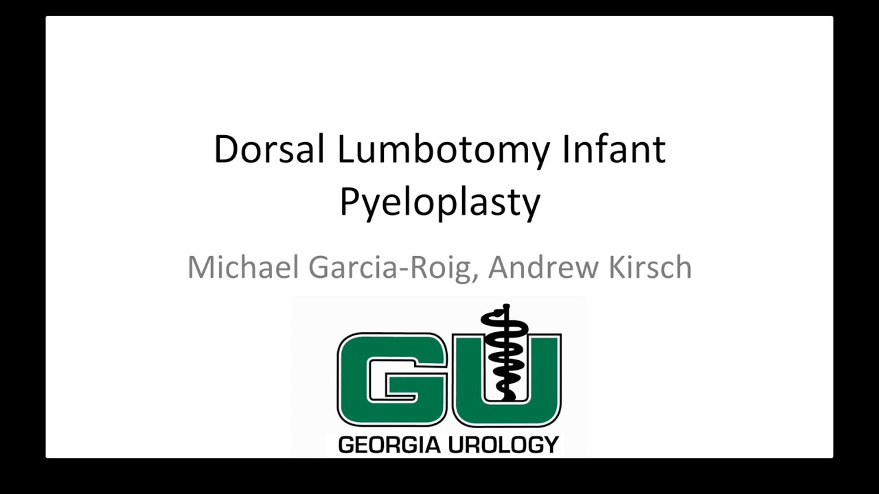 Dorsal Lumbotomy Pyeloplasty - YouTube