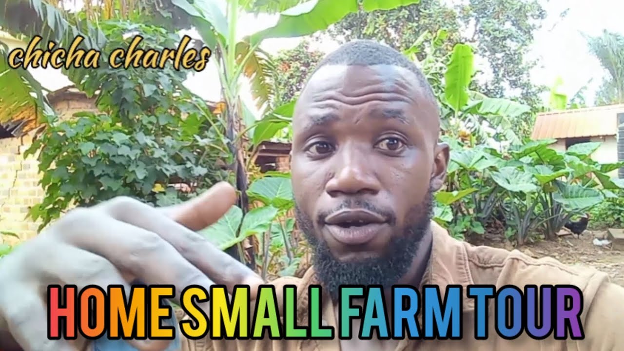 family farm tour | chicha charles | #chichacharles #tour #family # ...