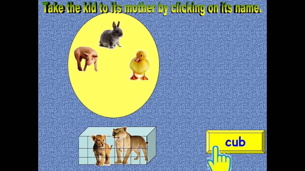 Animal babies game for teachers to teach. - YouTube