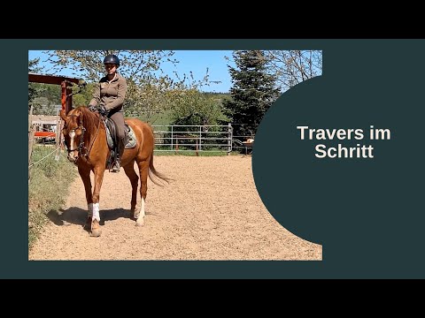 Travers im Schritt